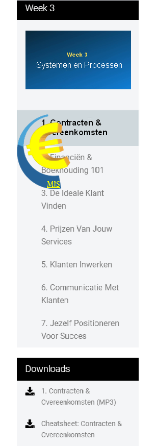 Agency Accelerator Review - Succes ook voor Jou!? #Insider Information